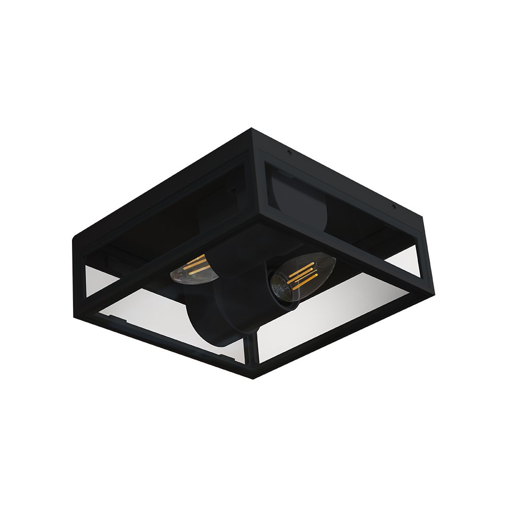 ESKEN BLACK/CLEAR 2LT IP65 CEILING LIGHT - Lightingplus