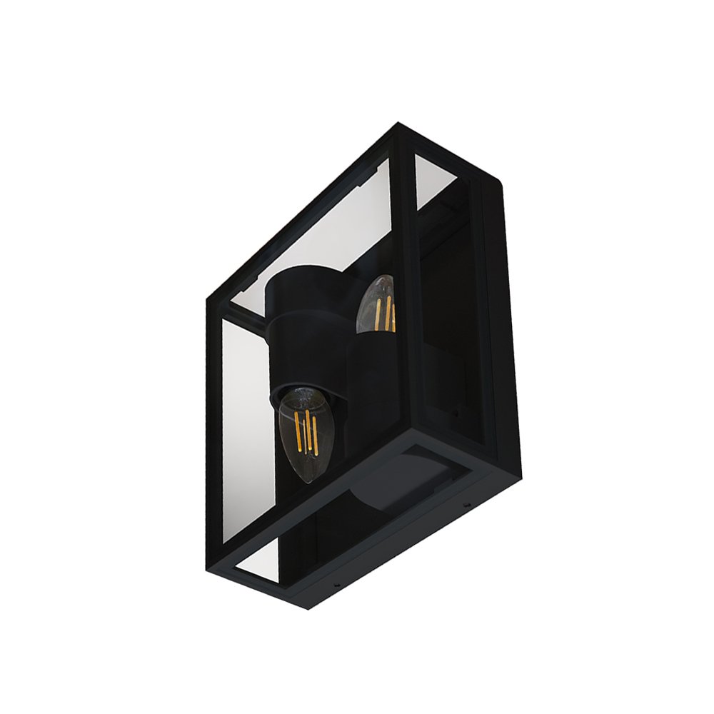 ESKEN BLACK/CLEAR 2LT IP65 CEILING LIGHT - Lightingplus