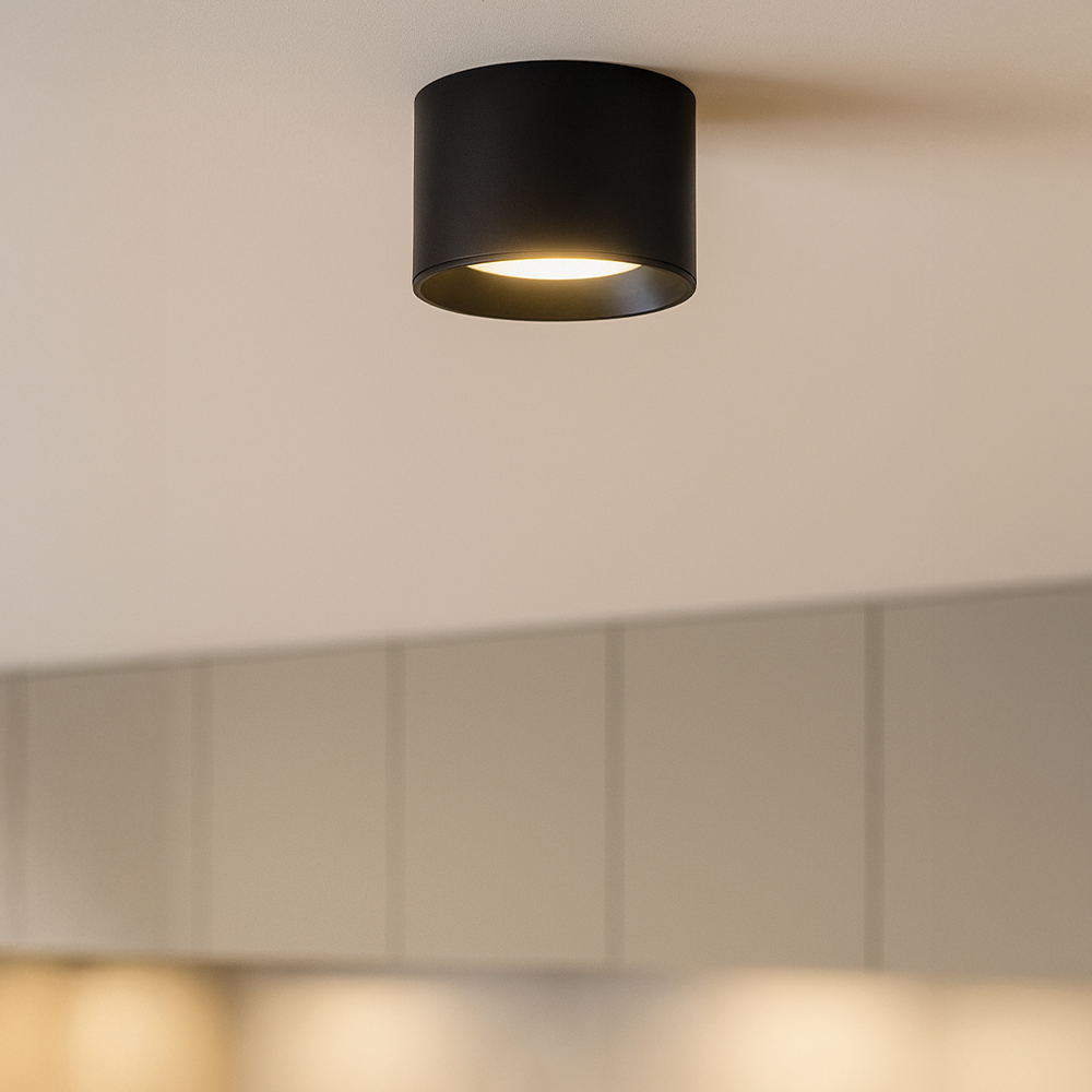 Eva LED Ceiling Light - 8W CCT IP44 Black | Lightingplus - Lightingplus