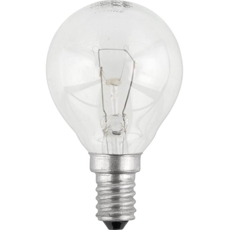 40W SES CLEAR FANCY ROUND LAMP - Lightingplus