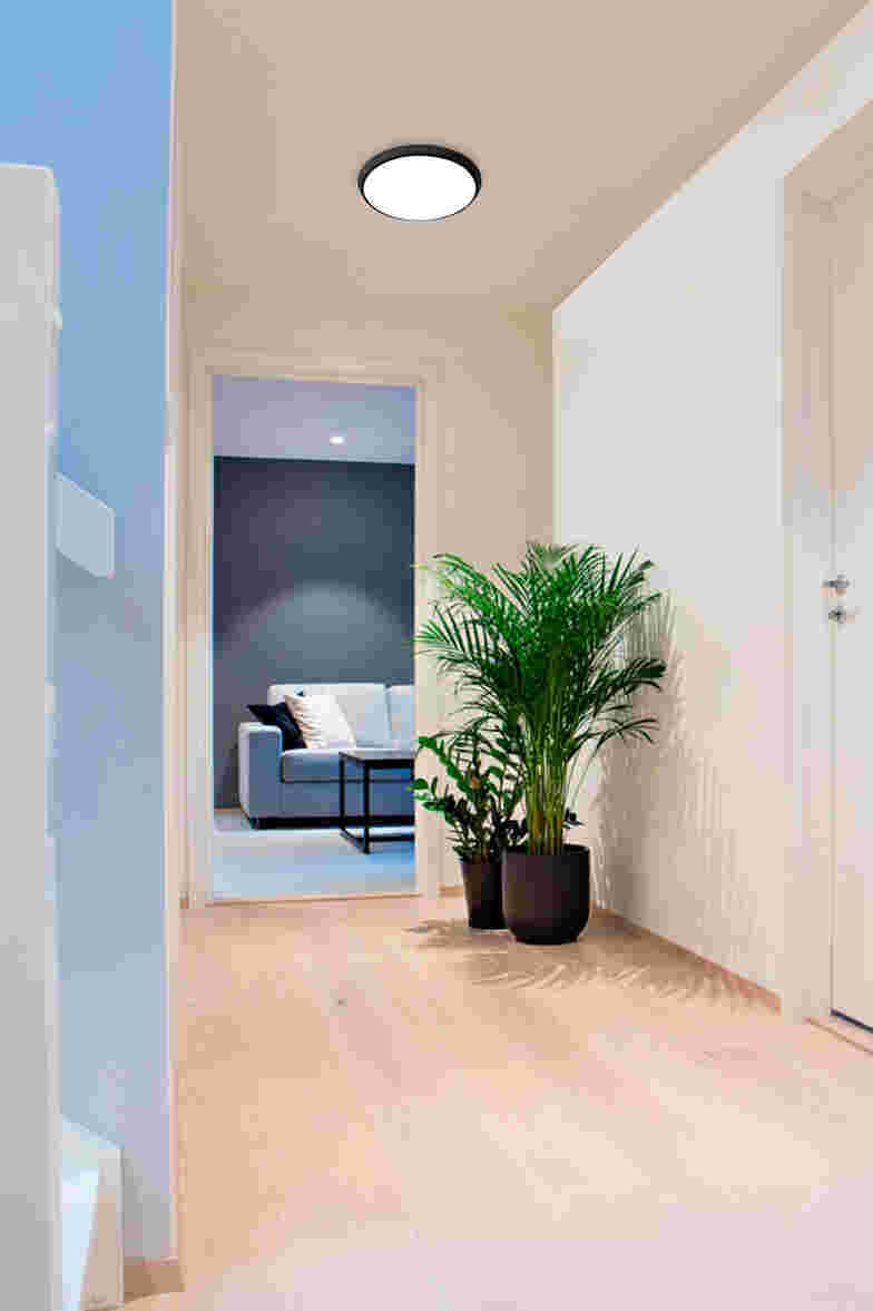 Lightingplus - Lighting for Sale Online & In-Store NZ-Wide - Lightingplus